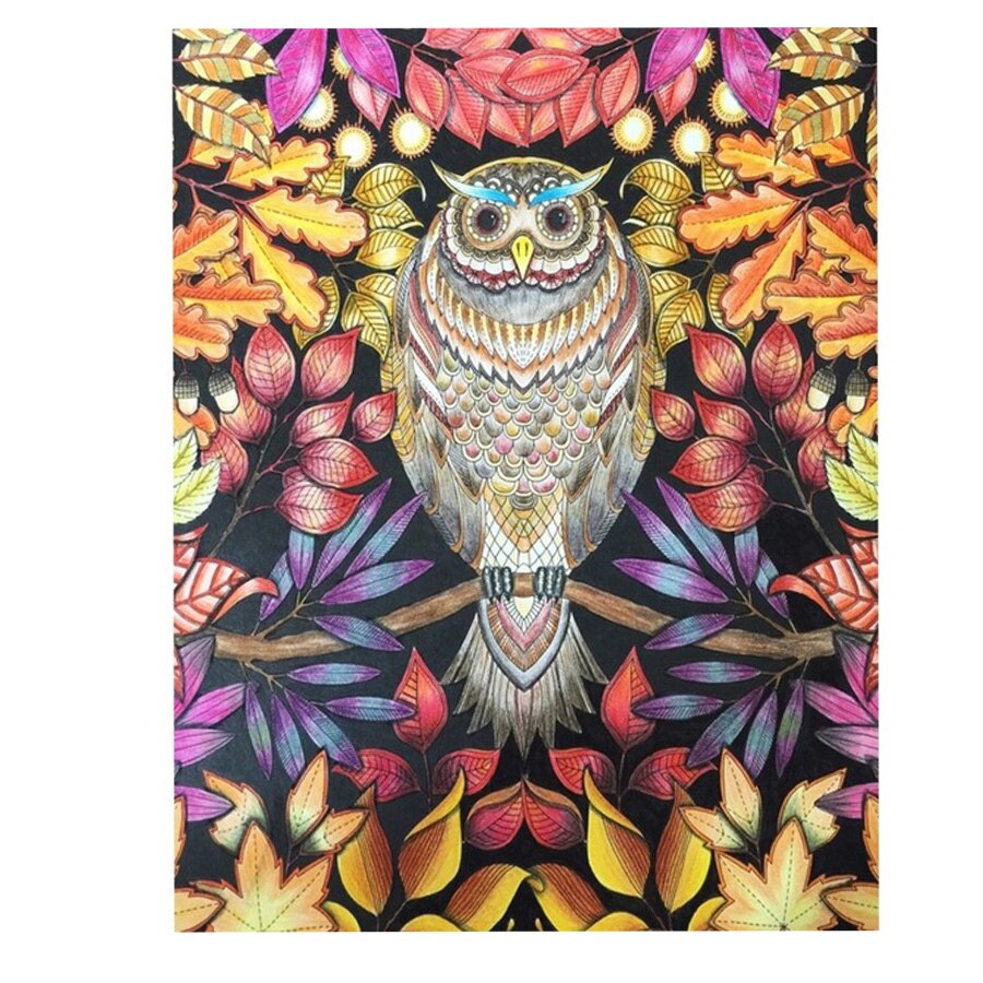Uil Getekend Diamond Painting kopen? - Happy Painting