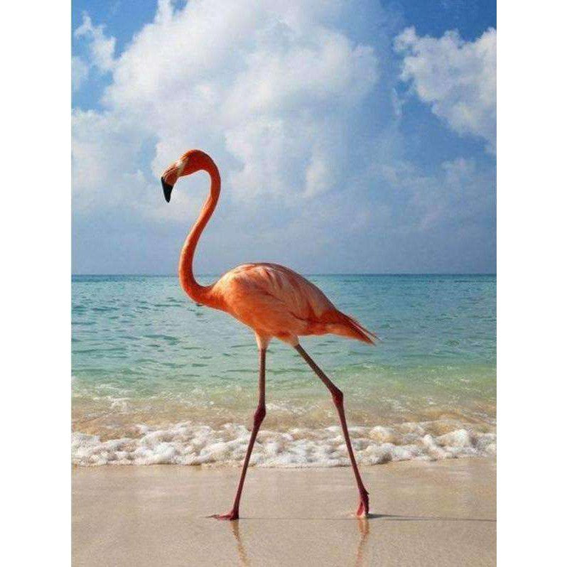 Flamingo op het Strand Diamond Painting | Happy Painting